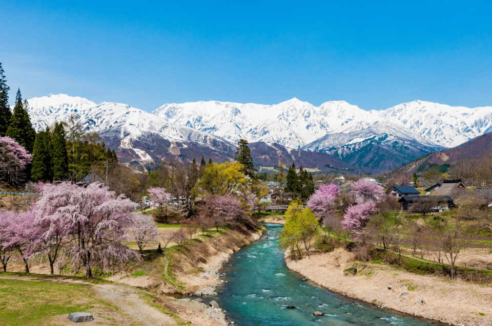 会社案内 | Nikota Realty - Real Estate Consultants, Japan