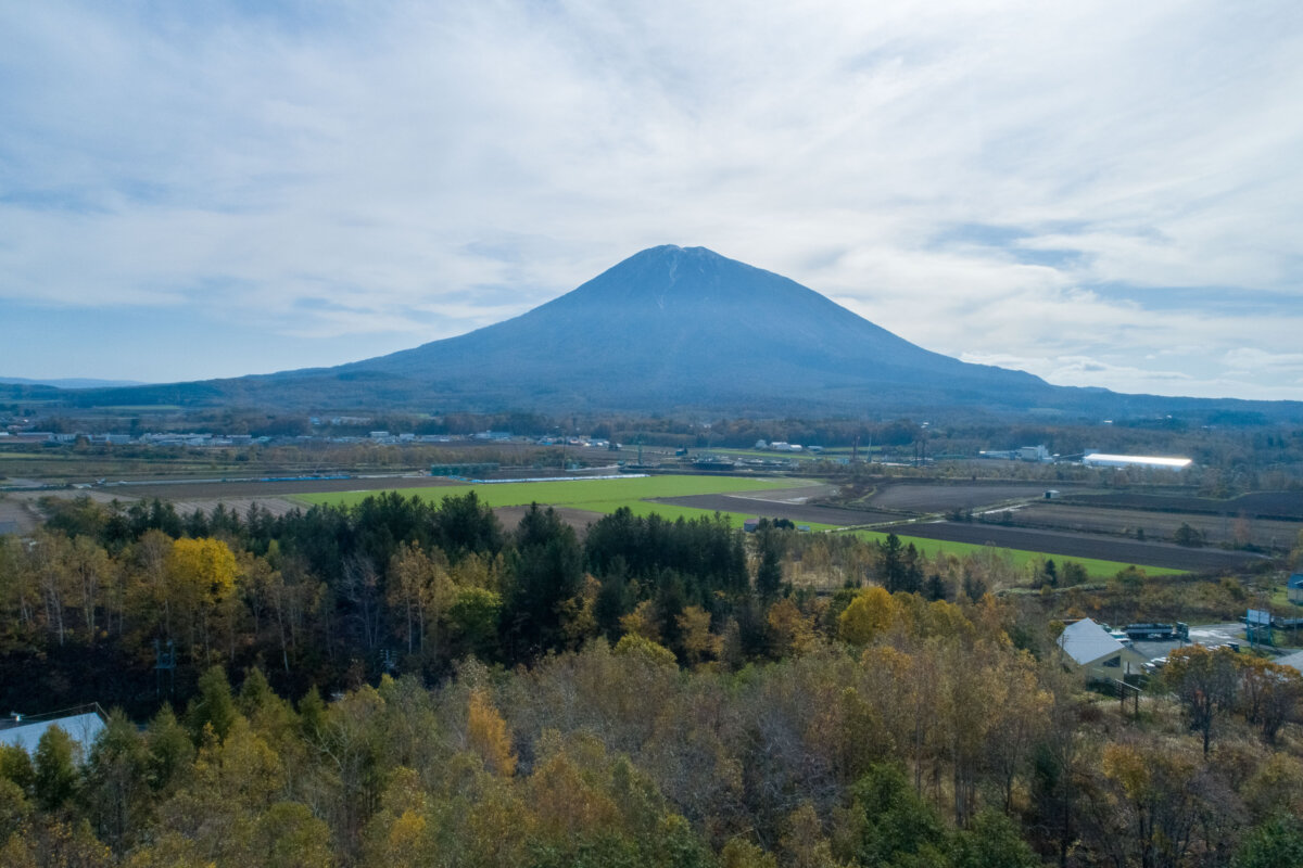Expansive Hanazono Dev Site | Nikota Realty - Real Estate Consultants, Japan