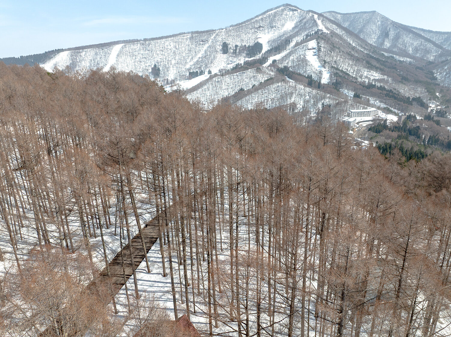 Tangram Hills Land - Madarao | Nikota Realty - Real Estate Consultants ...