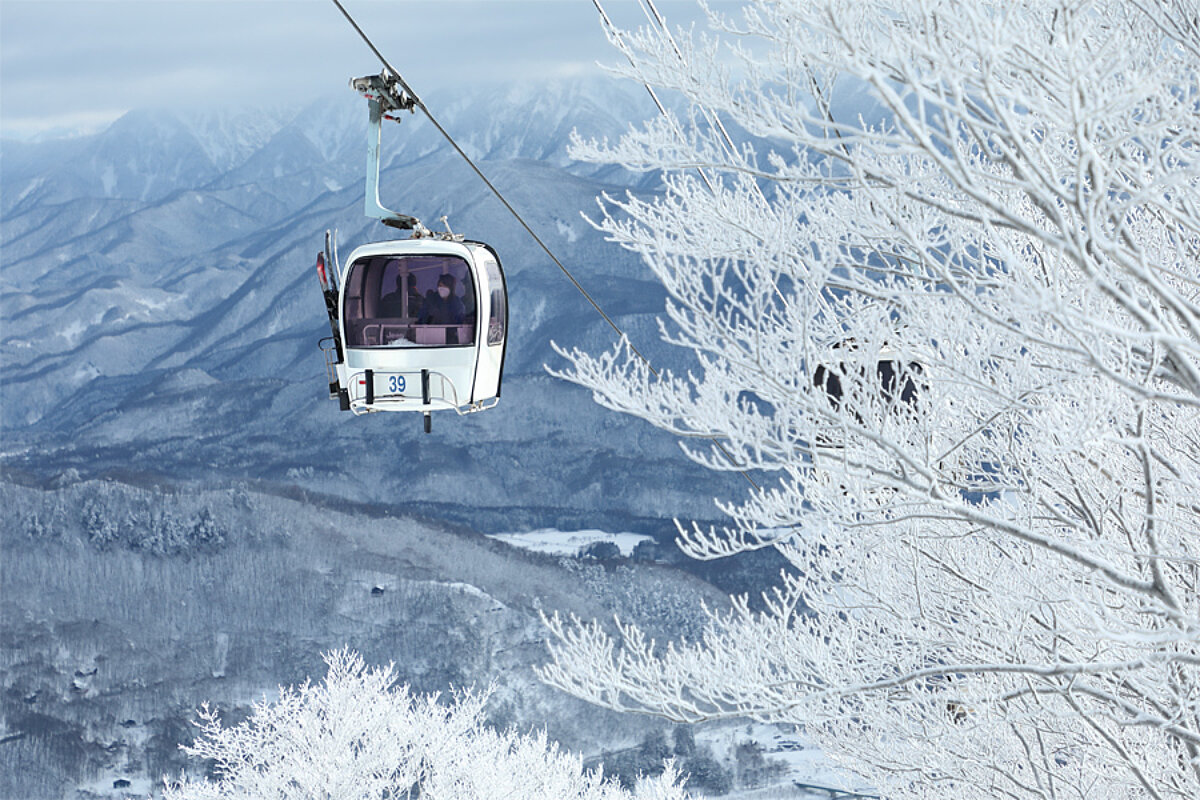 The fast-evolving Hakuba market | Nikota Realty - Real Estate ...
